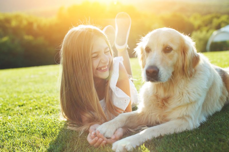 Do's and Don'ts of Interactions Between Kids and Pets - Animal Clinic of CB