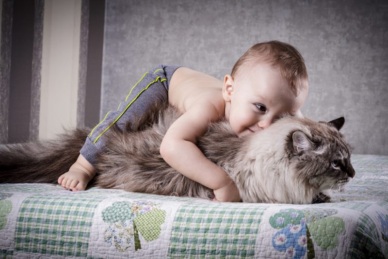 Do's and Don'ts of Interactions Between Kids and Pets - Animal Clinic of CB